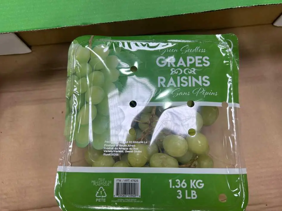 GREEN SEEDLESS GRAPES PRODUCT OF PERU NO. 1 GRADE at Costco South Saskatoon